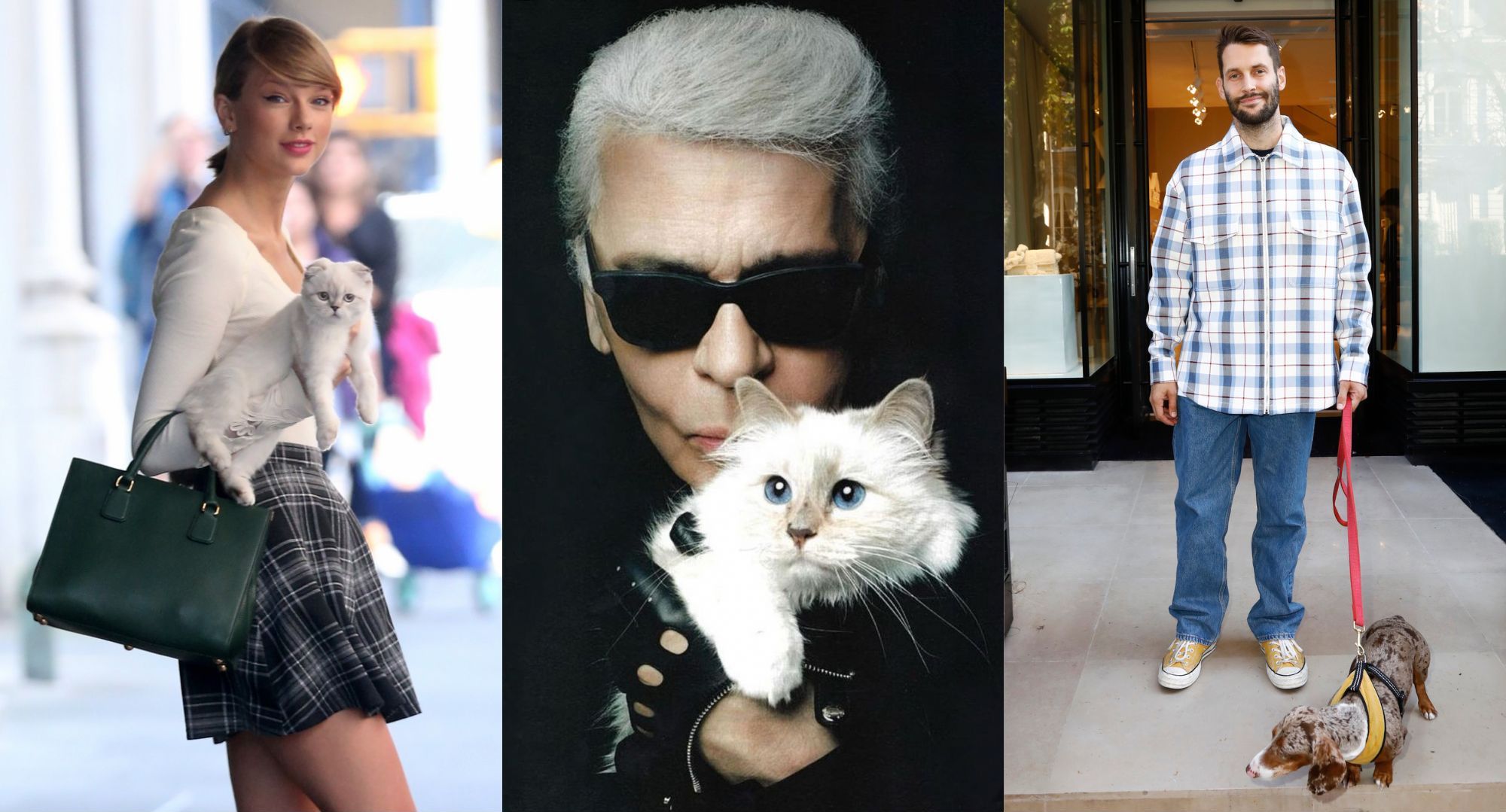 Deze huisdieren van beroemdheden zijn bekender dan hun baasje