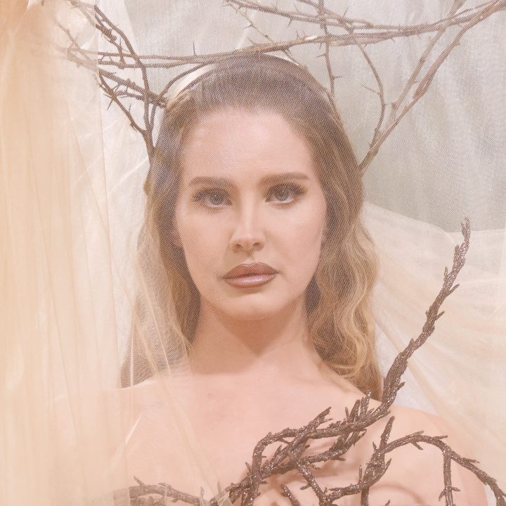 Vogue's jaarhoroscoop 2025: Kreeft