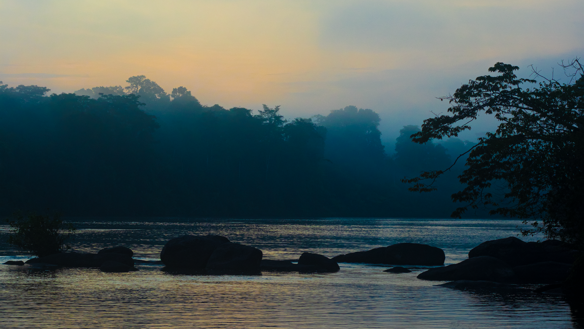 Tips Suriname: deze plekken wil je bezoeken in het prachtige land