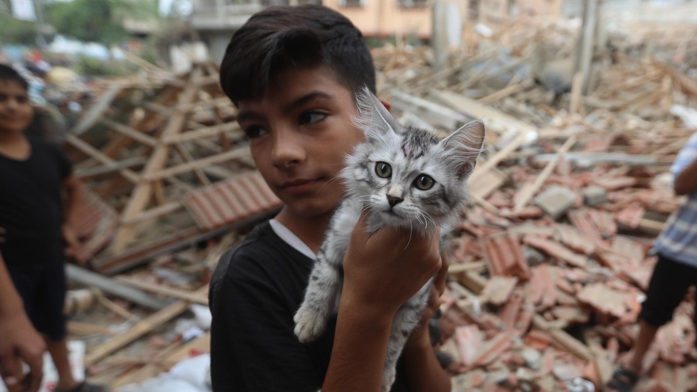 Zo kun je de slachtoffers in Gaza en Israël helpen Zo kun je de slachtoffers in Gaza en Israël helpen