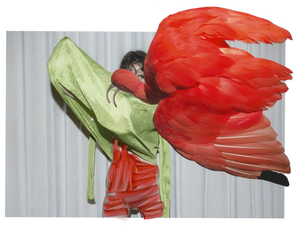 Viviane Sassen over haar jeugd, carrière en nieuwe tentoonstelling